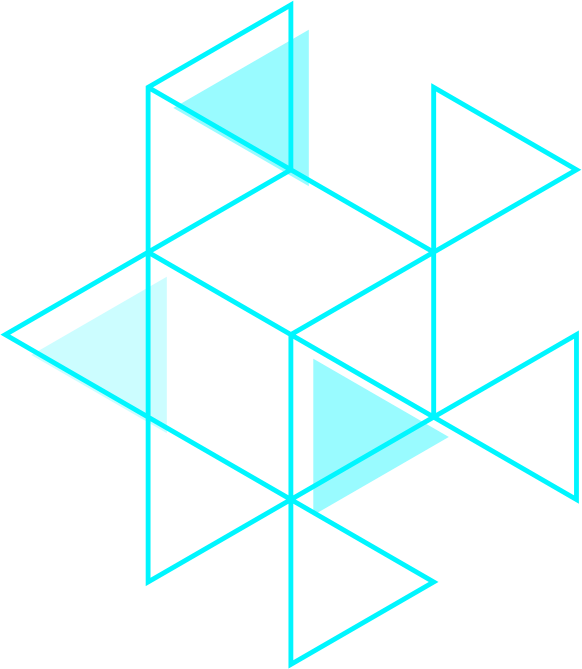 Dr. Mohammed Audu Foundation